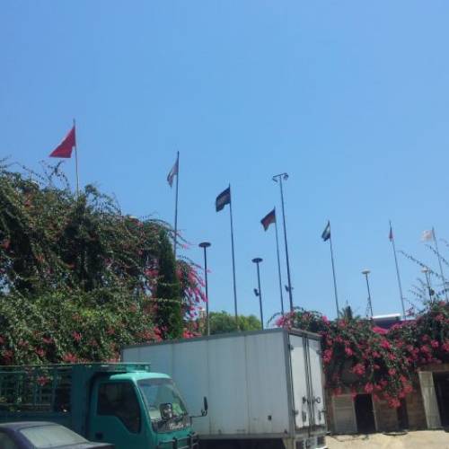 Edde Sands - Ayanian Group